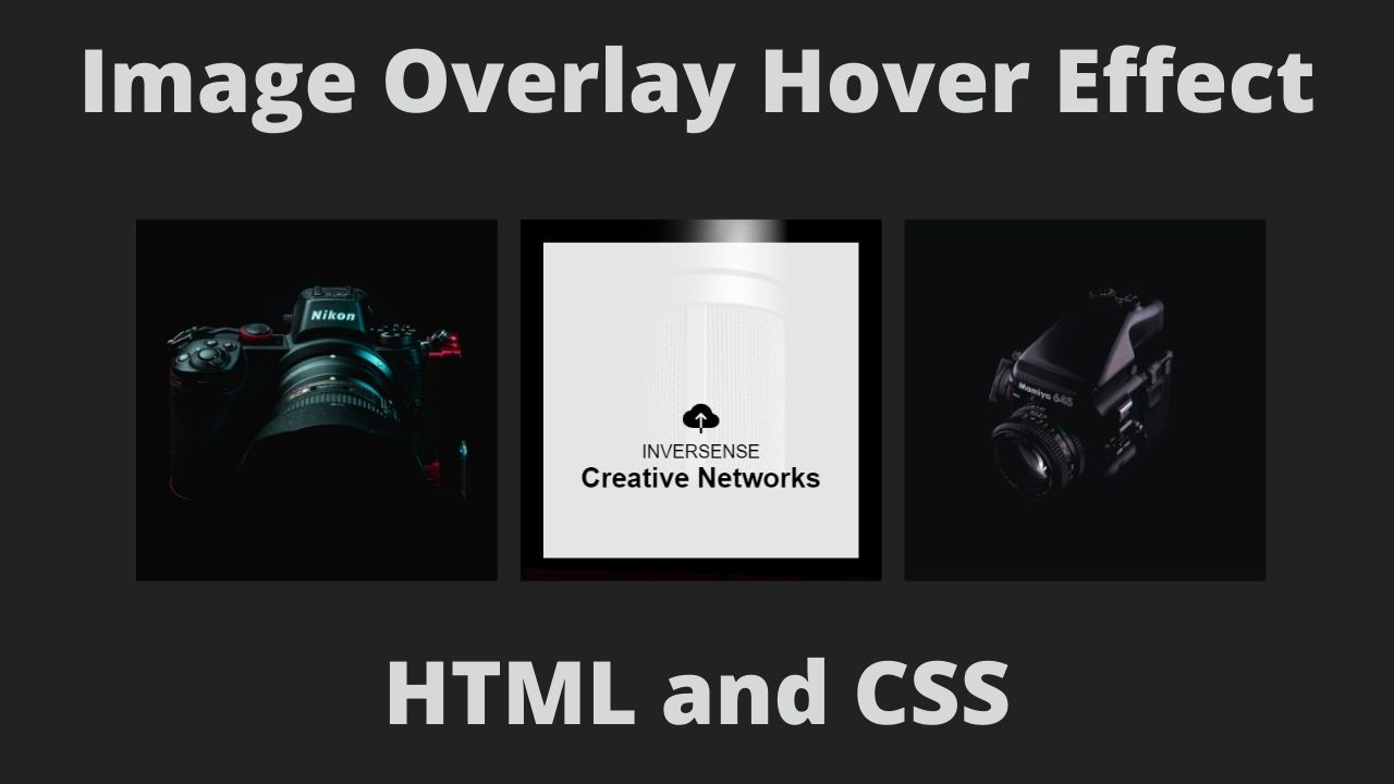 Image Overlay Effect CSS with Source code