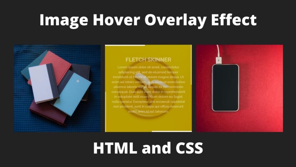 Image Hover Overlay Effect CSS With Source Code